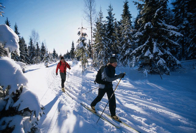 Crystal Cabin Activities